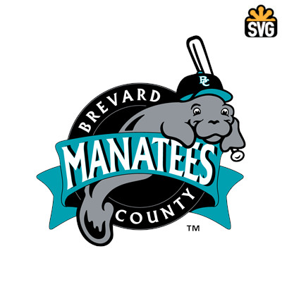 Brevard County Manatees Logo SVG Digital Download, Brevard County ...